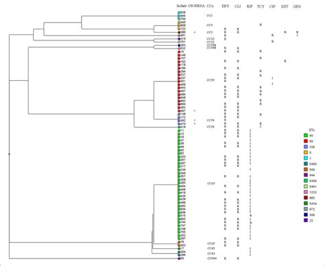 Dendrogram And Antibiogram Of 72 Methicillin Resistant Mrsa And