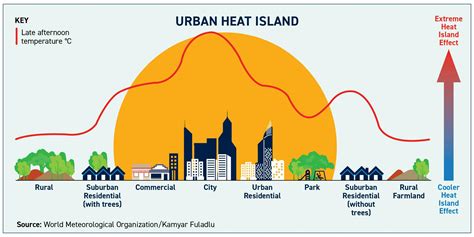 Infographics Tree Costs And Urban Heat Island Effect Urban Greening Strategy Your Say