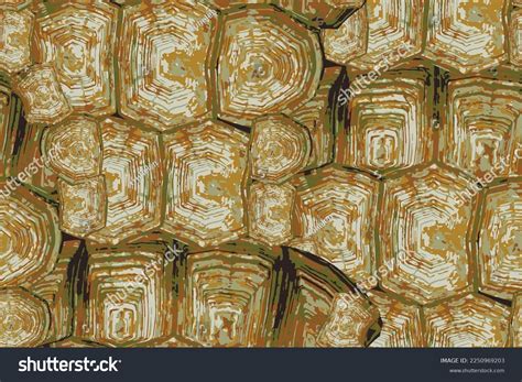 Turtle Shell Seamless Pattern Suitable Fabric Stock Vector Royalty Turtle Shell Seamless Pattern Suitable Fabric Stock Vector Royalty