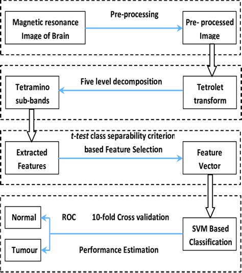 Pathophysiology Of Brain Tumor In Flow Chart A Visual Reference Of