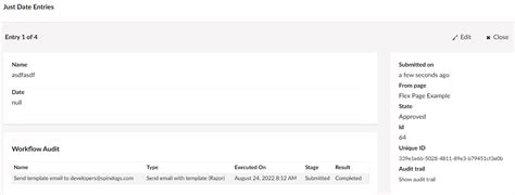 Dates Show As Null In The Form Entry Full View 1010 · Issue 848
