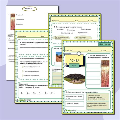 Рабочий лист по географии Почвы