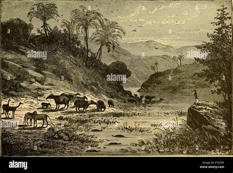 A 1897 Historical Work Detailing The Origins Migrations And Social Conditions Of Major Human