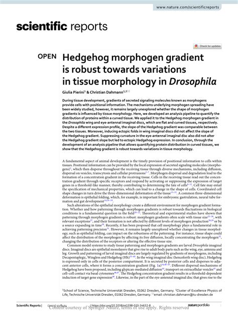 Pdf Hedgehog Morphogen Gradient Is Robust Towards Variations In Tissue Morphology In Drosophila