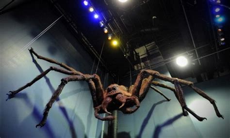 Малоизвестные факты о съемках «Гарри Поттера Urapress