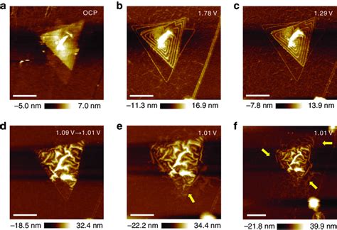 In Situ Monitoring Of The Structural Evolution On A Multilayer Mos 2 Download Scientific