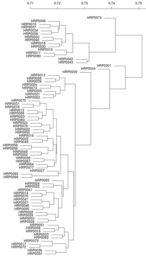 Dendrogram Harappa Ancestry Project