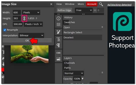 How To Resize A Picture In Photopea For Perfect Image Dimensions How To Resize A Picture In Photopea For Perfect Image Dimensions