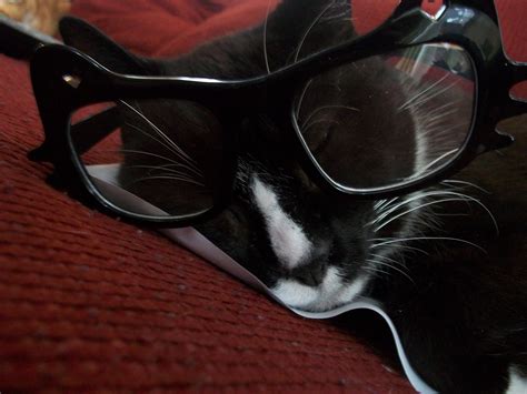 Booty Candy Polewear