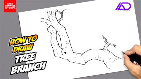 How To Draw Tree Branch YouTube