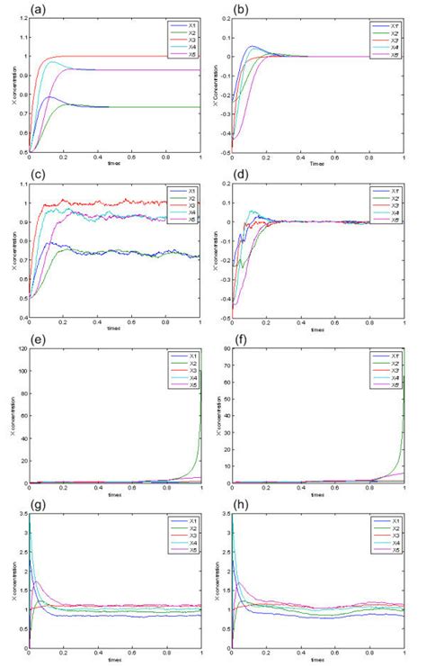 The Dynamic Responses Of The Genetic Regulatory Network In