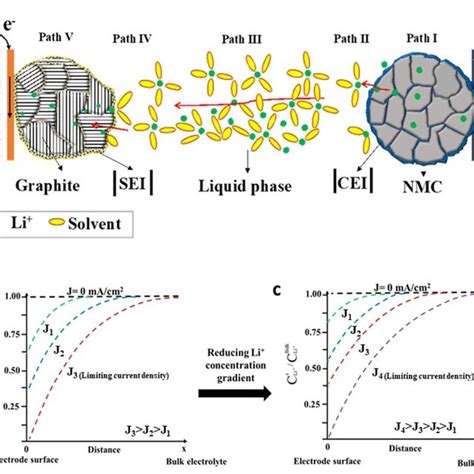 A Schematic Of Connected Diffusion Paths That Li Need To Complete Download Scientific