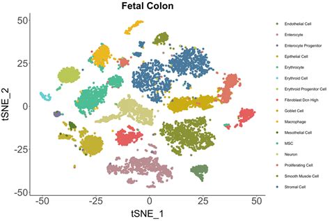 Scrna Seq Colon