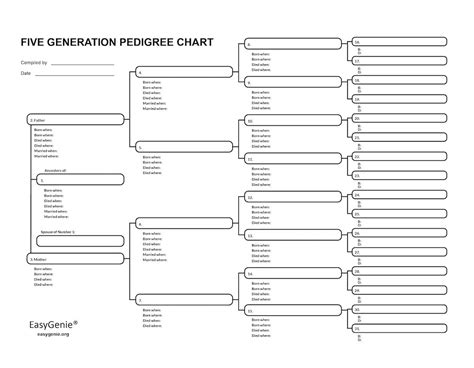 Five Generation Pedigree Chart Template