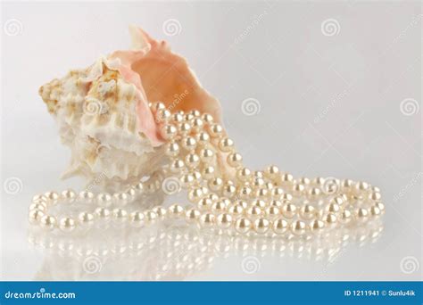 Sea Cockleshell Stock Image Image Of Beads Glance Womanly 1211941