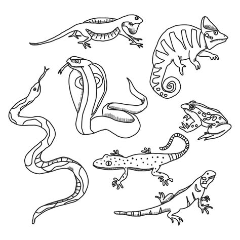 Reptiles Dibujos Garabateados 14043193 Vector En Vecteezy