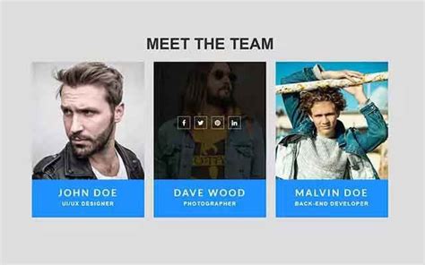 Our Team Section Design Source Code Rwebdevtutorials