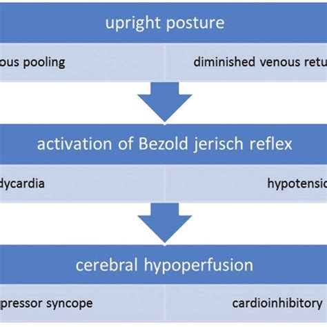 Classification Of Syncope 1 Reflex Syncope Neurally Mediated Download Scientific Diagram