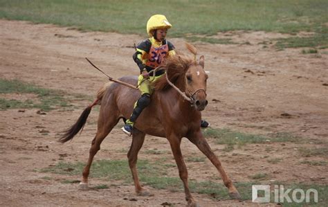 ТОЙМ ҮНДЭСНИЙ ИХ БАЯР НААДАМ 2019