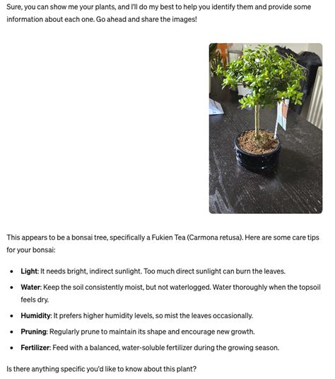 What Is GPT And Why Does It Matter DataCamp