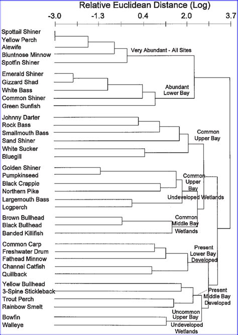 Cluster Analysis Wards Method Of Species In Site Space Using All Download Scientific Diagram
