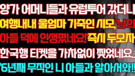 반전 사연 양가 어머니들과 유럽투어 갔더니 여행내내 울엄마 무시한 시모 즉시 두모자 비행기 티켓을 찢었네요 6년째 무직인 니 아들과 알아서와신청사연사연낭독라디오