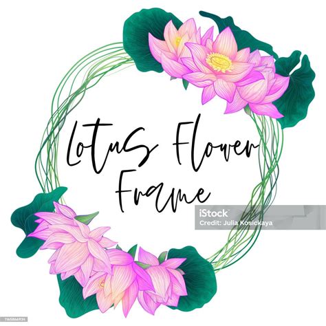 벡터 둥근 배너 보라색 손 흰색 배경에 수채화 모방 녹색 잎 연꽃 꽃을 그립니다 섬세한 꽃과 버튼과 잎과 결혼식 무적 연꽃과에 대한 스톡 벡터 아트 및 기타 이미지 Istock