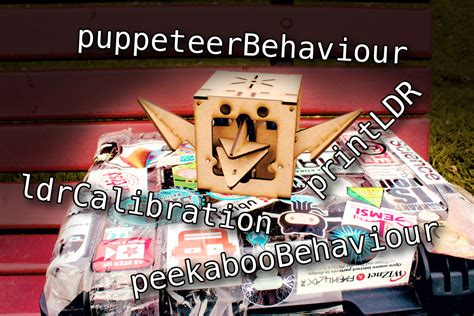 RoboBrrd Your DIY Educational Robotic Pet