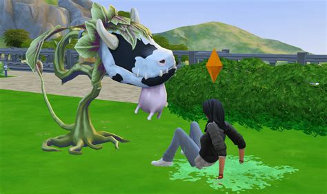 The Sims Cowplant What Is It And How To Get It Snootysims