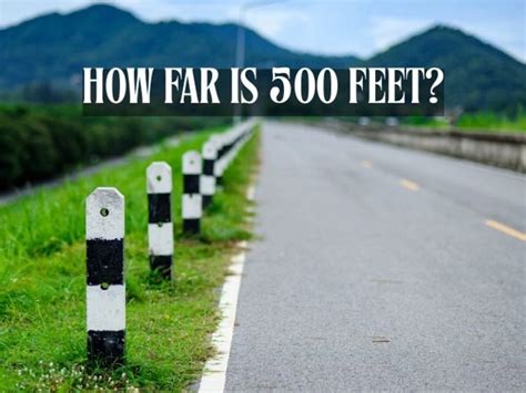 160 Cm To Feet Everyday Comparisons To Visualize The Height