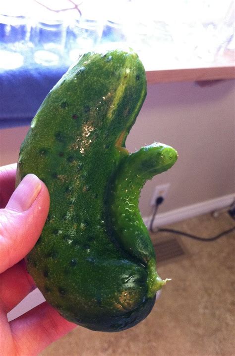 11 Pickle Able Foods That Will Make You Want To Start Pickling