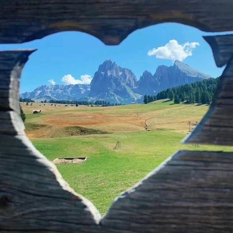 电影 小黄鸭的窝窝