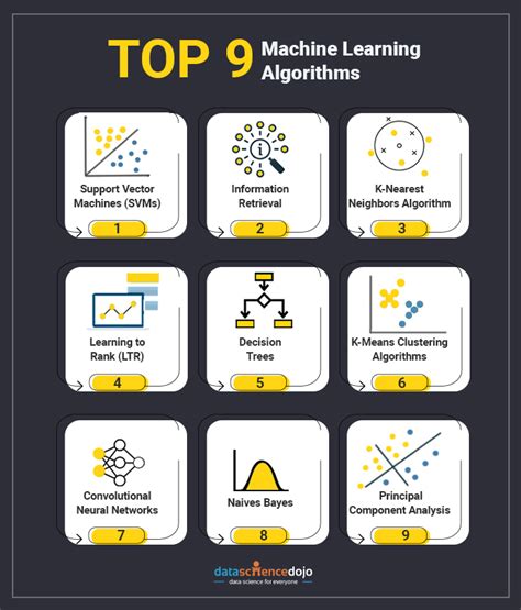 Best Resources For Learning Algorithms At Jaime Cardenas Blog