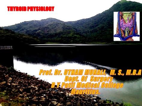 Synthesis Of Thyroid Hormones Pptx