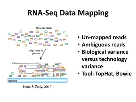Ppt Modeling Protein Structures And Gene Regulatory Networks By Mining Protein And Rna Seq