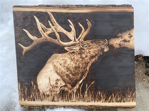 21 Wood Burning Ideas Wood Burning Wood Burning Art Wood Burning Crafts