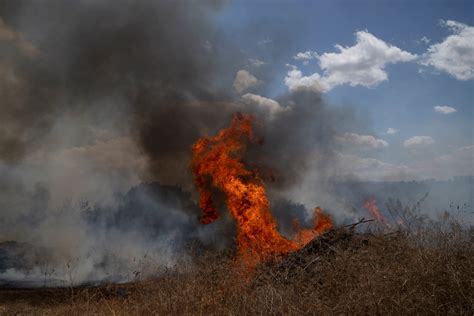 מדיני ביטחוני הארץ