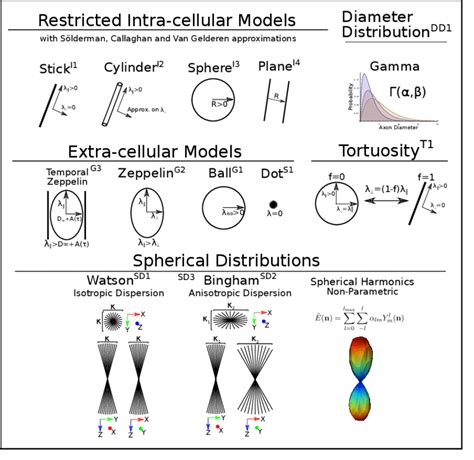 A Schematic Of Most Biophysical Models Used In Pgse Based Download