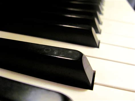 Photo Assignment Macro Newberrm