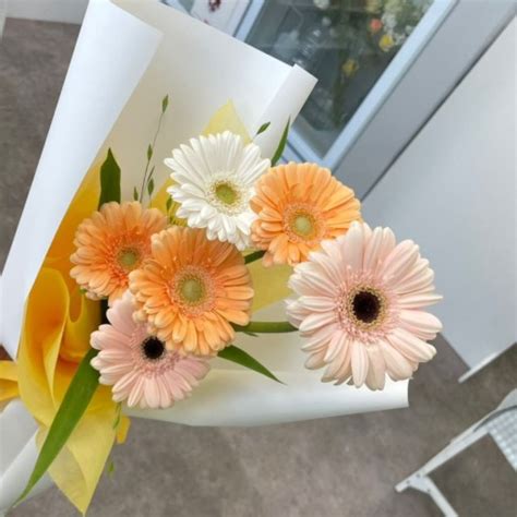 거베라꽃다발 배민 장보기∙쇼핑