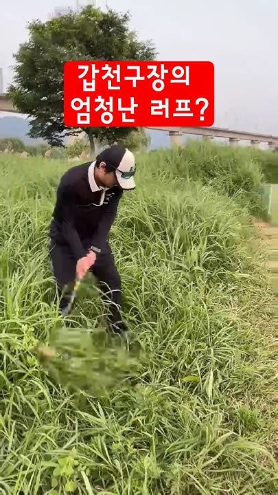 생활체육지도자 갑천파크골프장 장애인지도자 파크골프 러프샷 탈출샷 글로벌파크 글로벌투어 Youtube