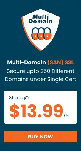 What Is A Wildcard San Certificate And How Does It Works