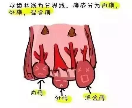 菊花殘滿地傷洛陽的朋友你的菊花痛麼 每日頭條