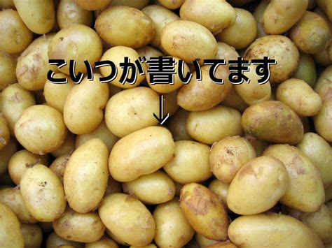 初心者向けPythonで自動翻訳Googletrans おとといからきたいも