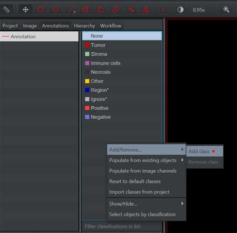 Loading Geomx Ome Tiff Files Into Qupath With Roi And Segment Data Usage And Issues Image Sc Forum