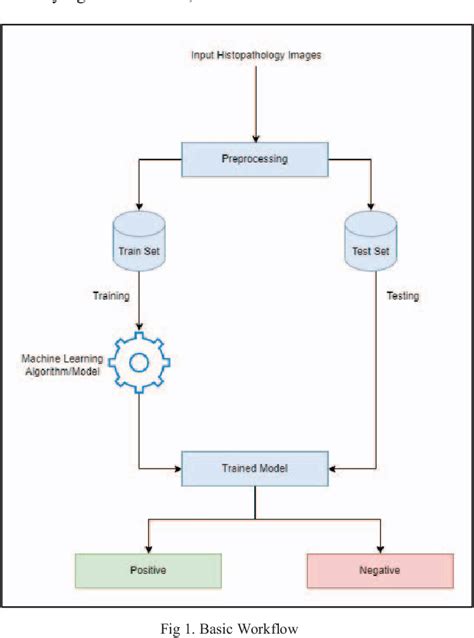 Figure 1 From An Overview On Breast Cancer Detection And Classification