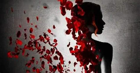 უცნობი ქალის დღიური უცნობი ქალის დღიური