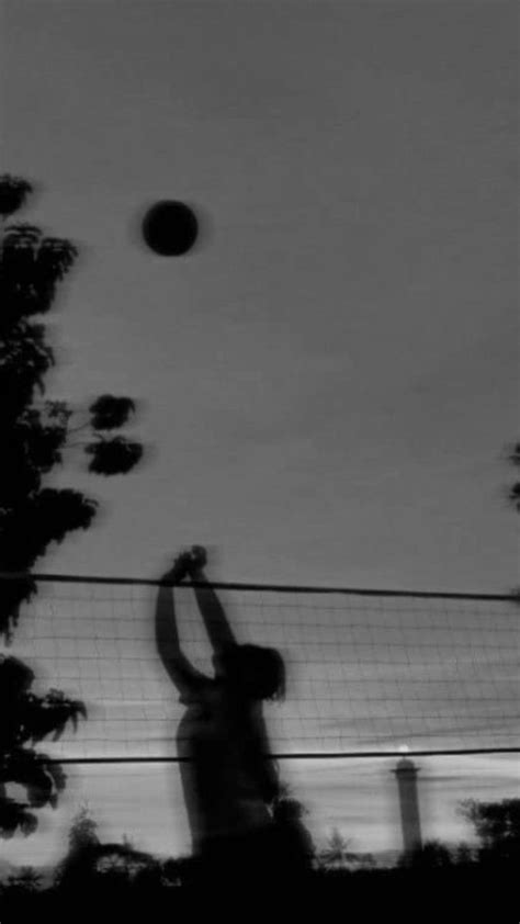 Volleyball Wallpaper