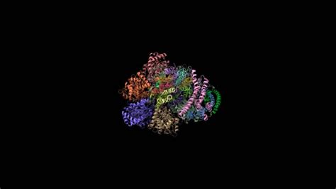 110 Mitochondria 3d Model Stock Videos And Royalty Free Footage Istock