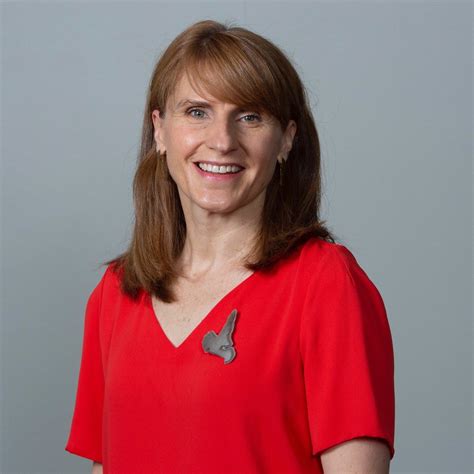 New Inspire Labrador — Small Economy Works